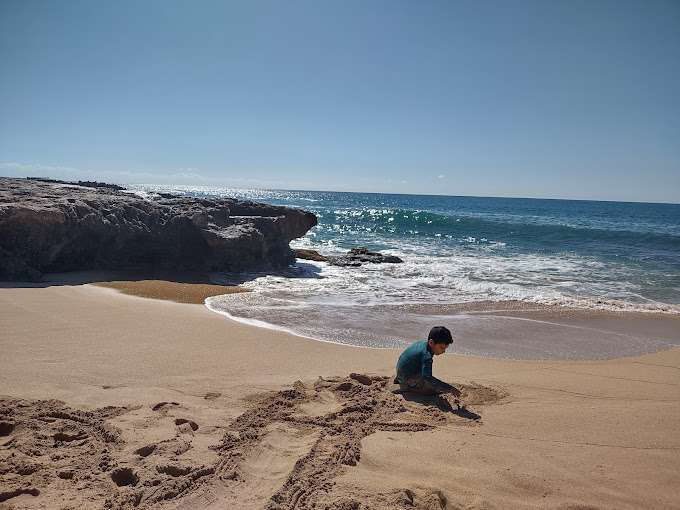 Zablan Beach (Forac Beach Park) Cleanup! - WildVoice